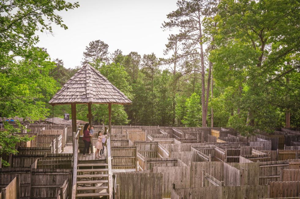 🎃 Family-Friendly Costume Contest at Harvestus: Alabama's Underground ...